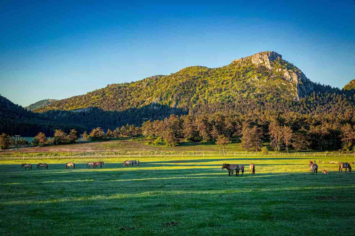 Parc Naturel Régional des Préalpes d'Azur - Elixir Grasse